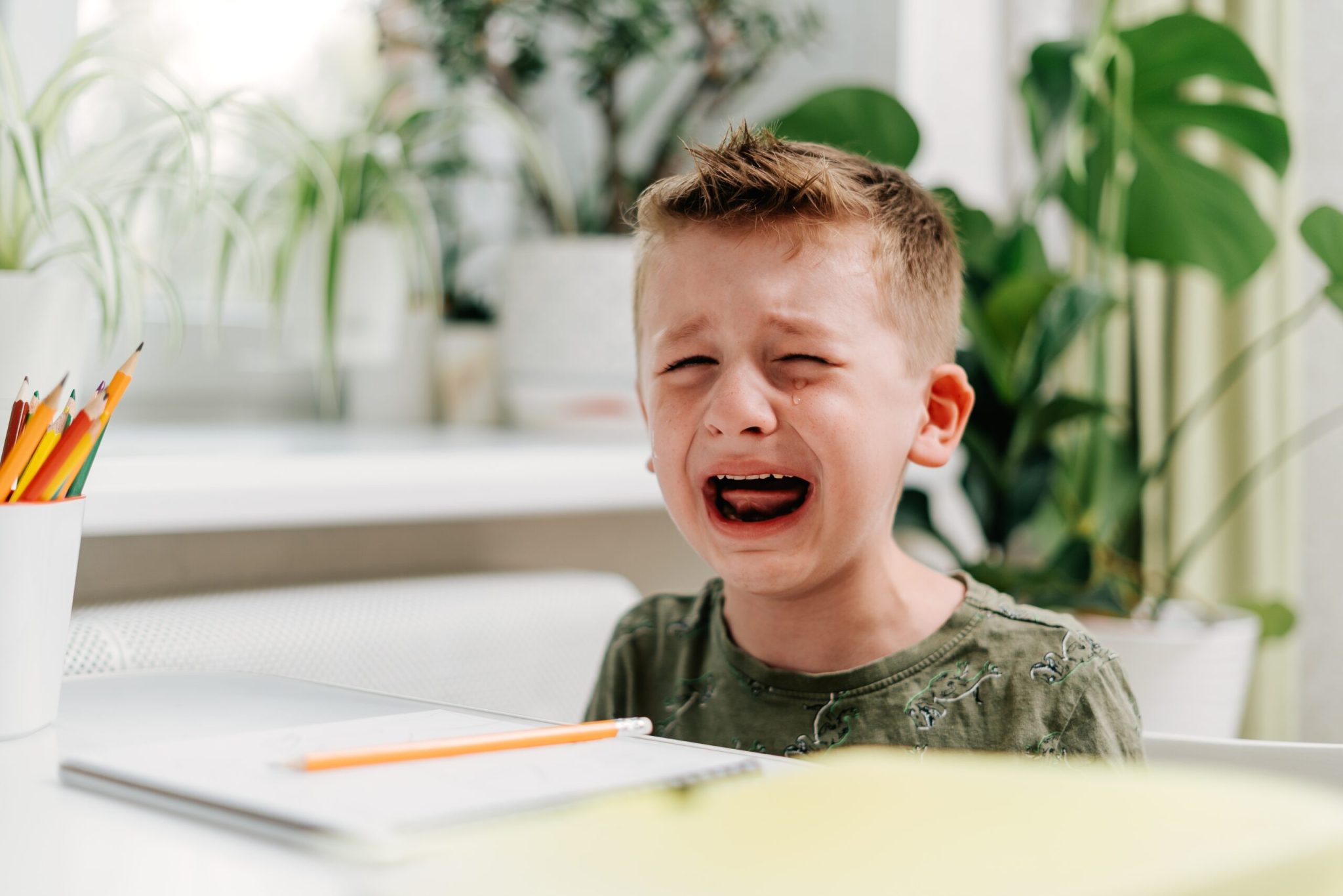 Un funcionario de la escuela dice que un niño de primer grado quedó ...