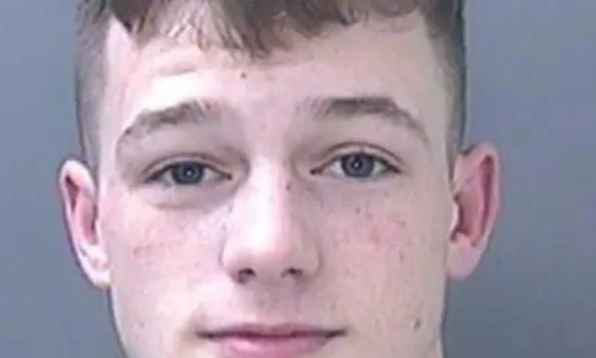 ¿Qué son los plugs anales y por qué la gente los usa?